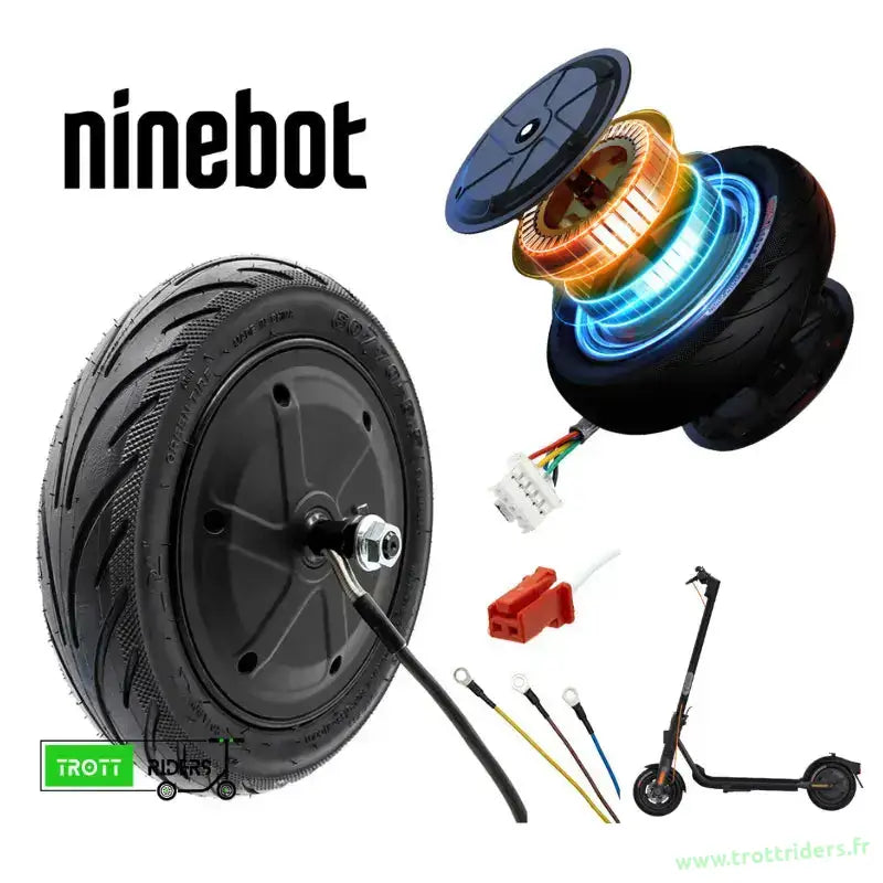 Moteur arrière 36V 450W B50 pour Ninebot F2 Pro – Officiel – Trott-Riders